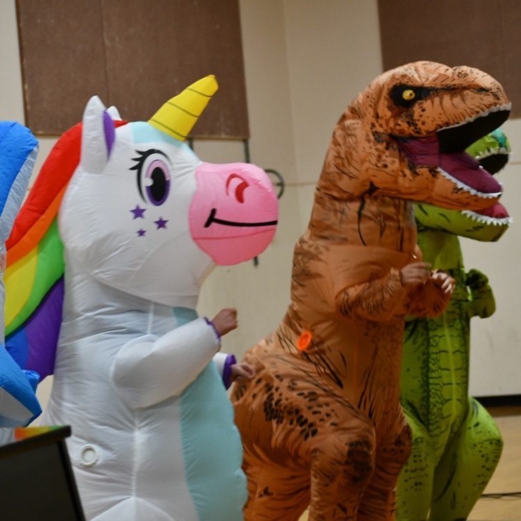 Live Feed | Lolo School District 7