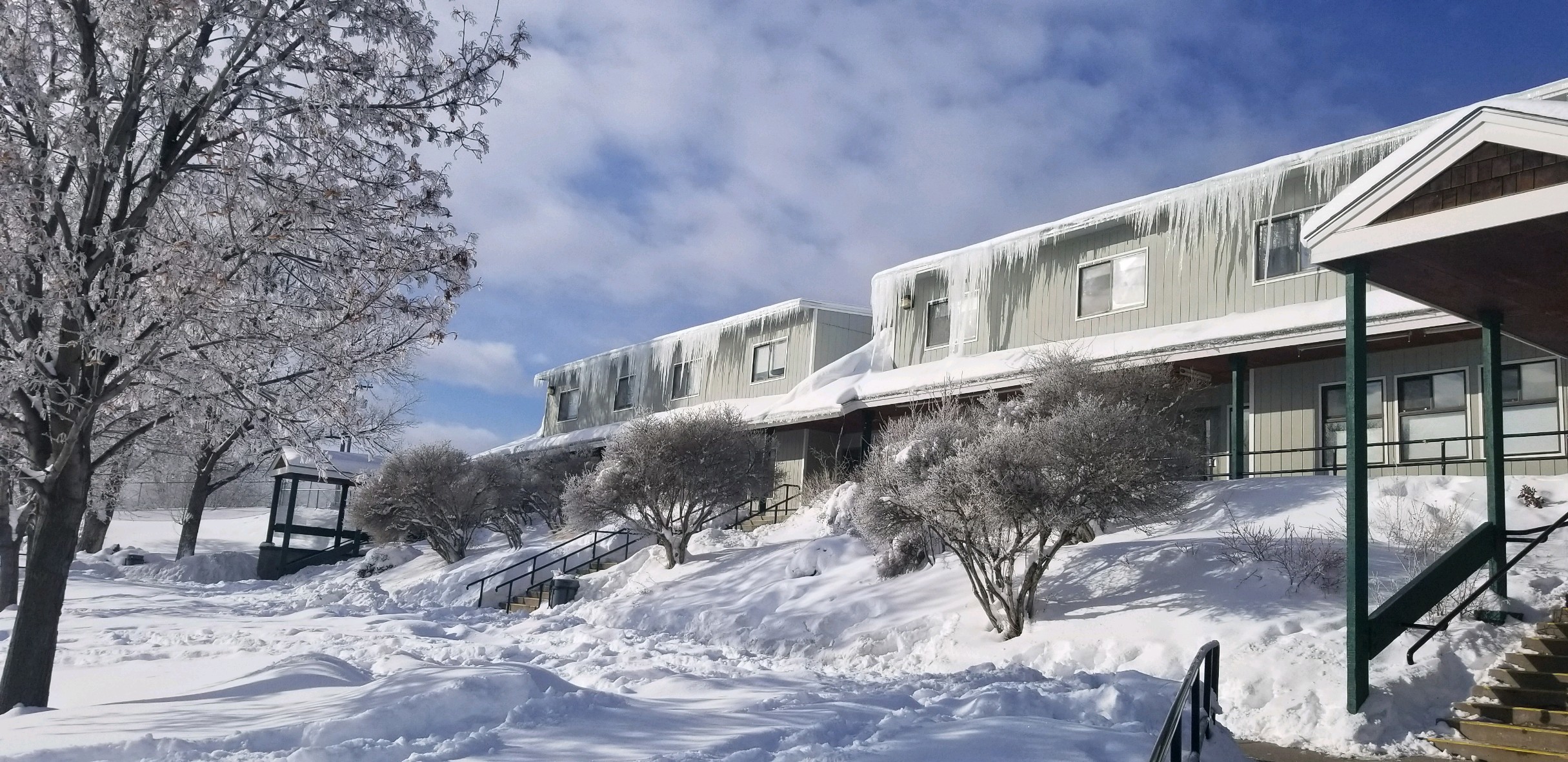 Lolo School District 7